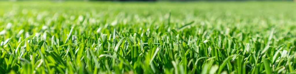 Windsor Turf Supplies